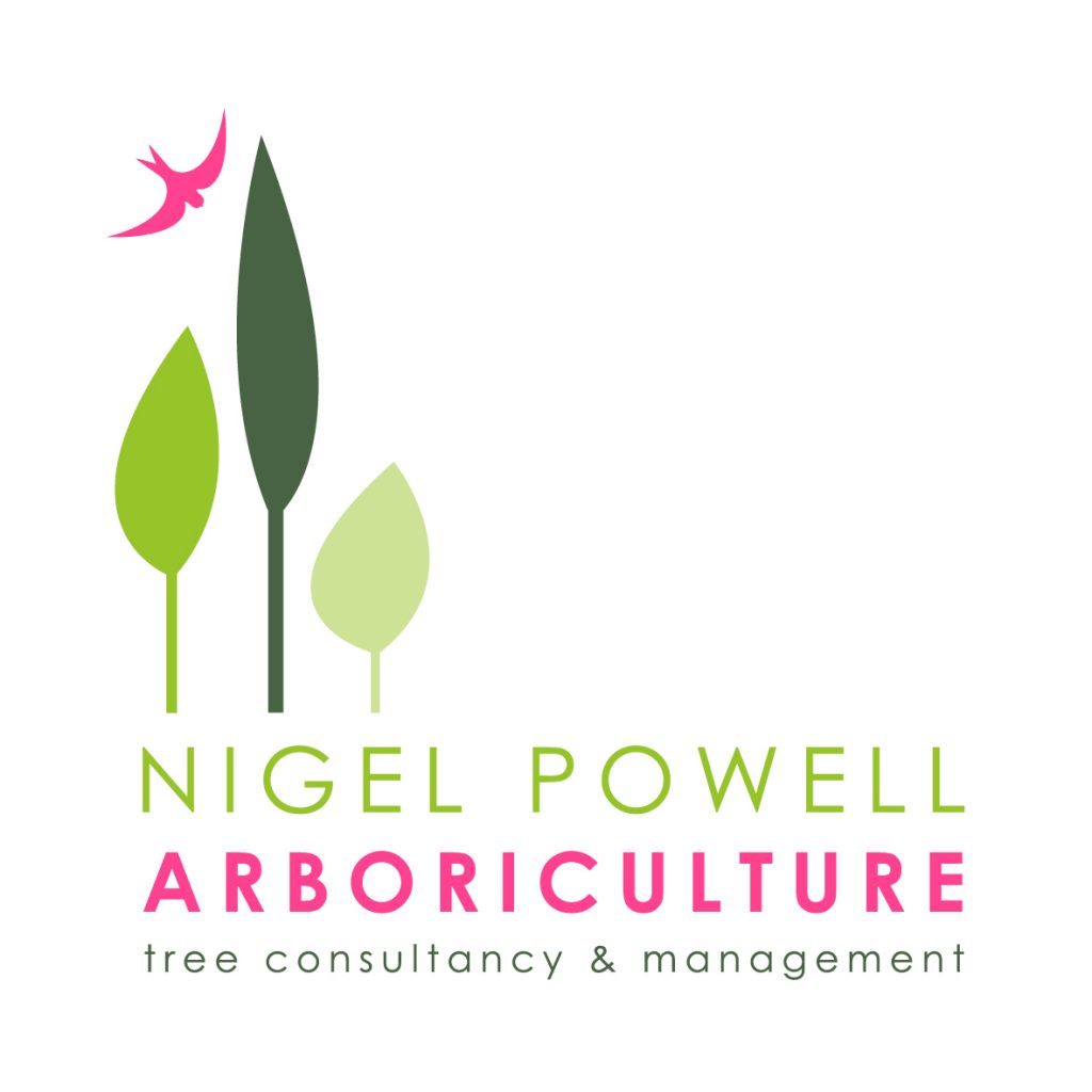Nigel Logo